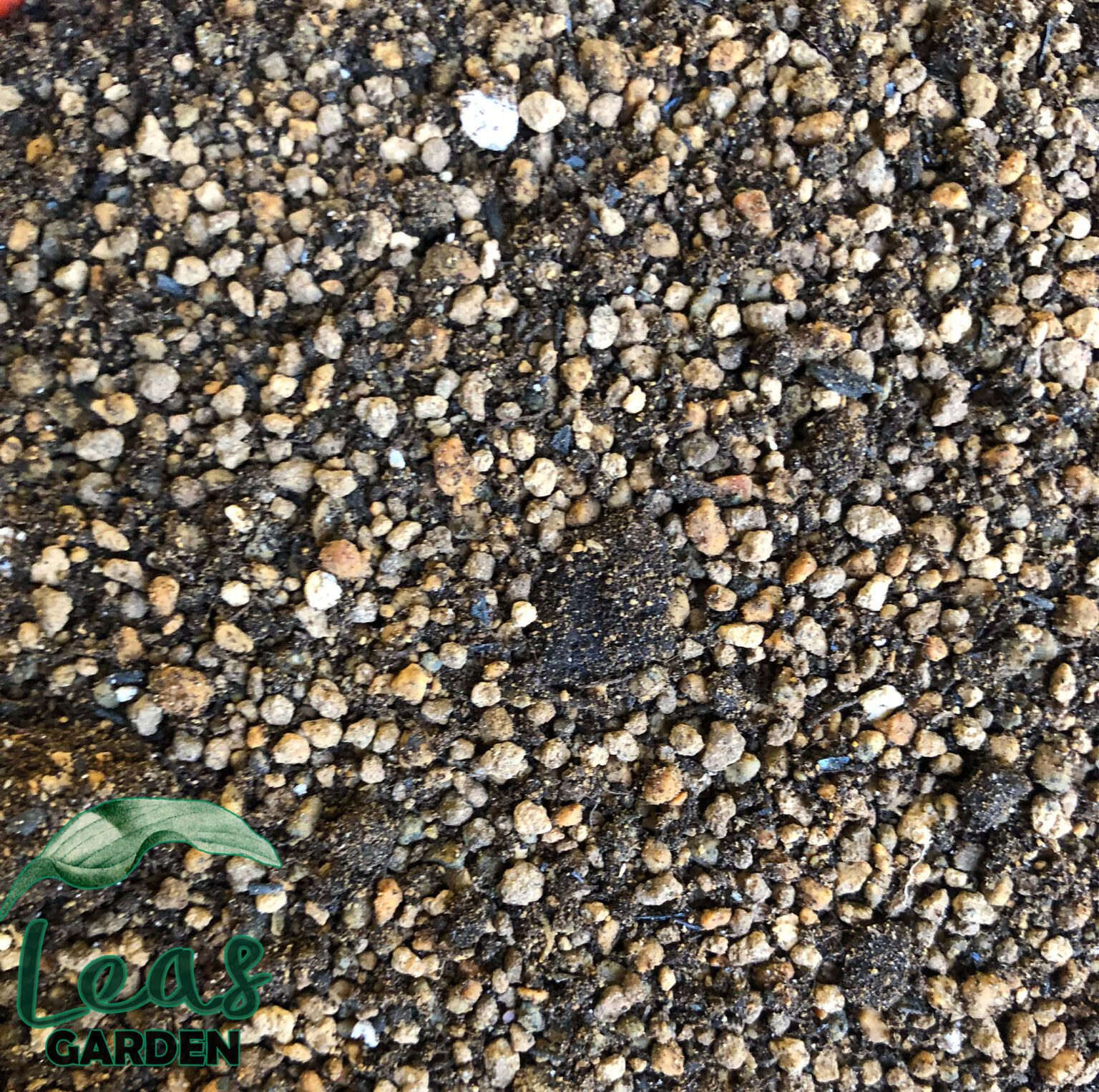 Lithops Soil / Succulent Soil Ready Mix Soil - An Urban Plant Shop In ...