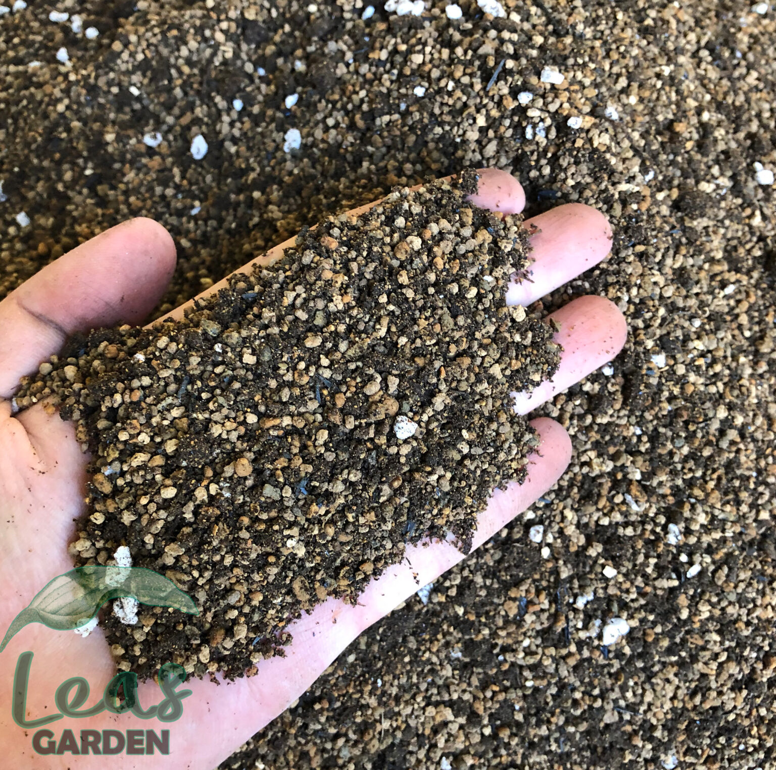 Lithops Soil / Succulent Soil Ready Mix Soil - An Urban Plant Shop In ...